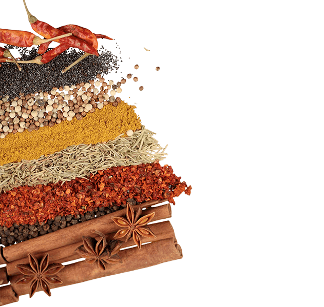 Dynamic Spize – Pure & Fresh Flavour, Authentically Yours With Dynamic ...